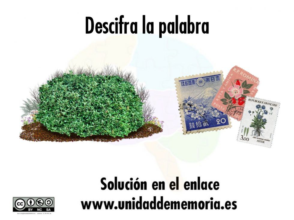 Descifra la palabra - Unidad de Memoria Entrenamiento cerebral